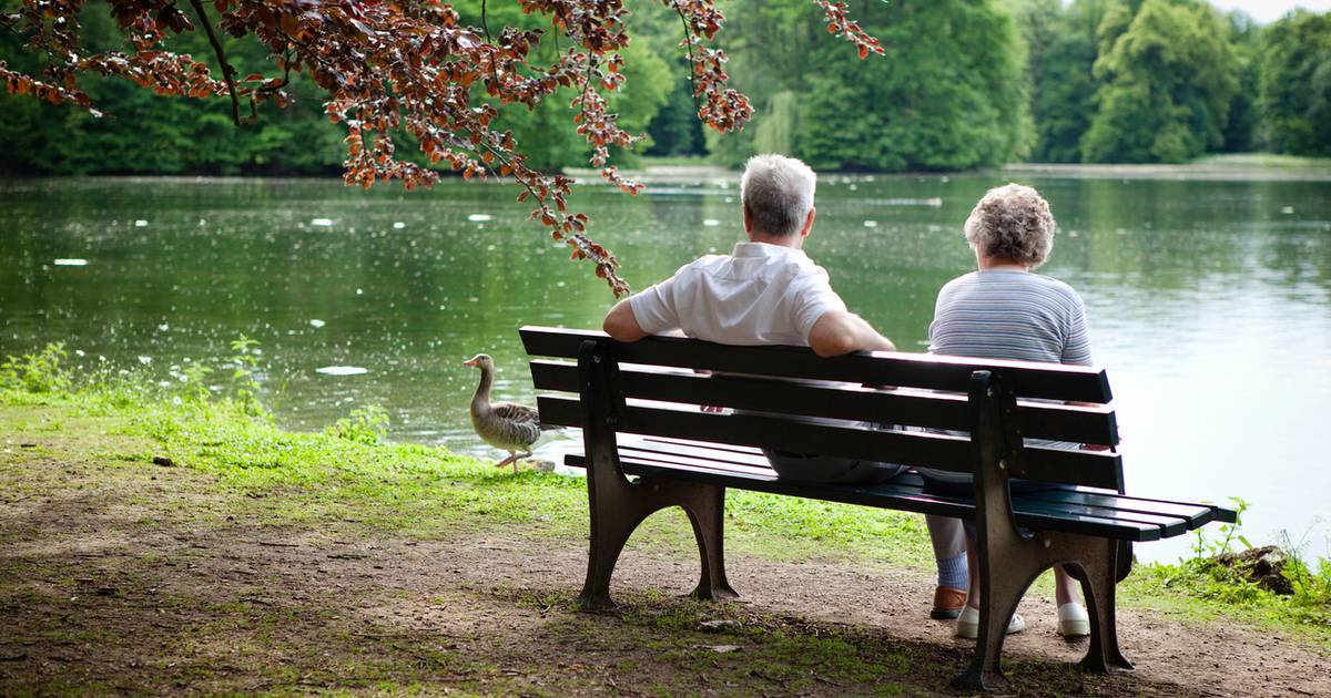 Seniorer arbejder i stort omfang videre efter pensionsalderen - Finans