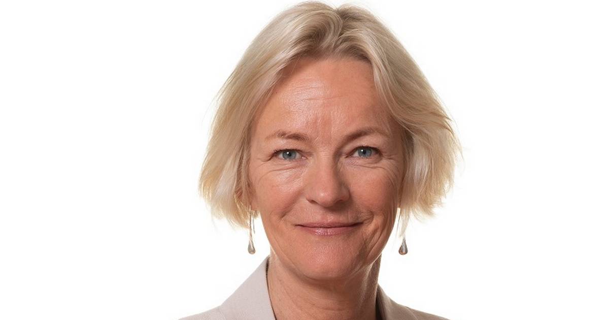 Bestyrelsesdronning og CBS-professor stryger ind i Carlsbergfondets ...