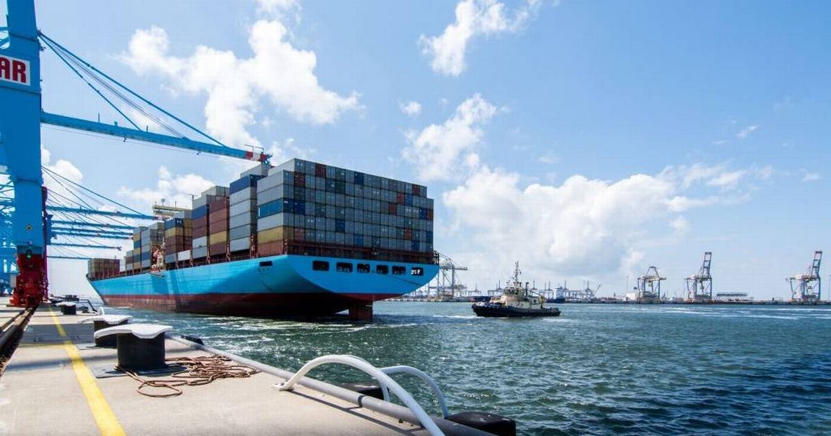 Mærsk under pres for at sælge skrantende Damco - Finans