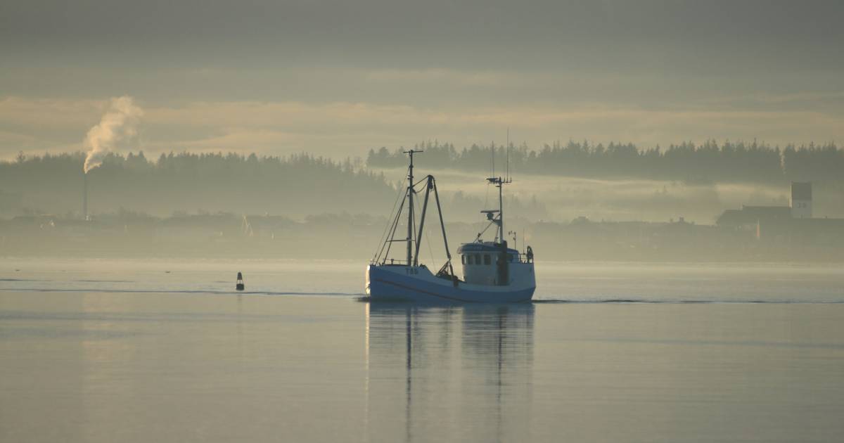 Bæredygtighed skal sælge danske muslinger i Asien
