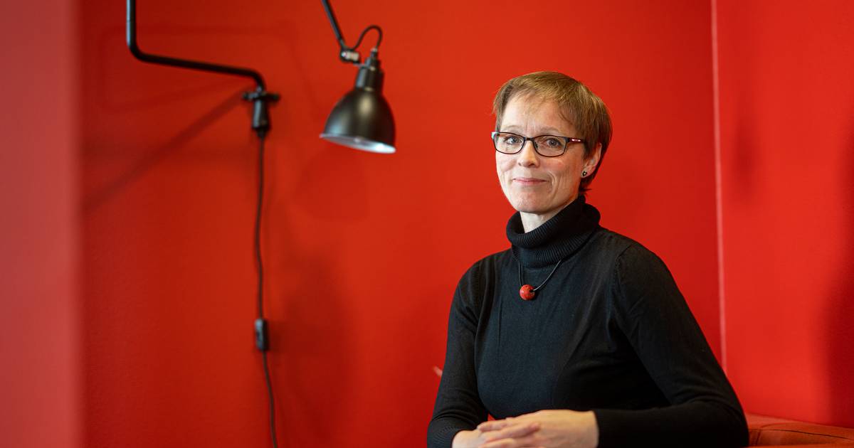 Fra offentlig til privat: Mistillid og rå tone fik tre ledere til at ...