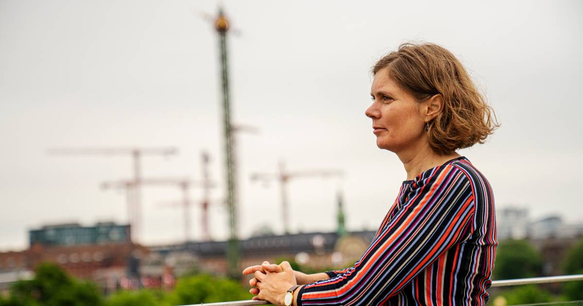 Direktør havde glædet sig til at skulle ud at snuse til træ. I stedet ...