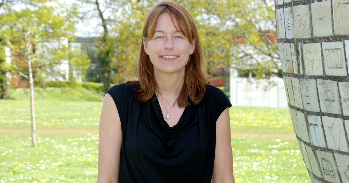 Professor får ansvar for tilsynet med de danske banker - Finans