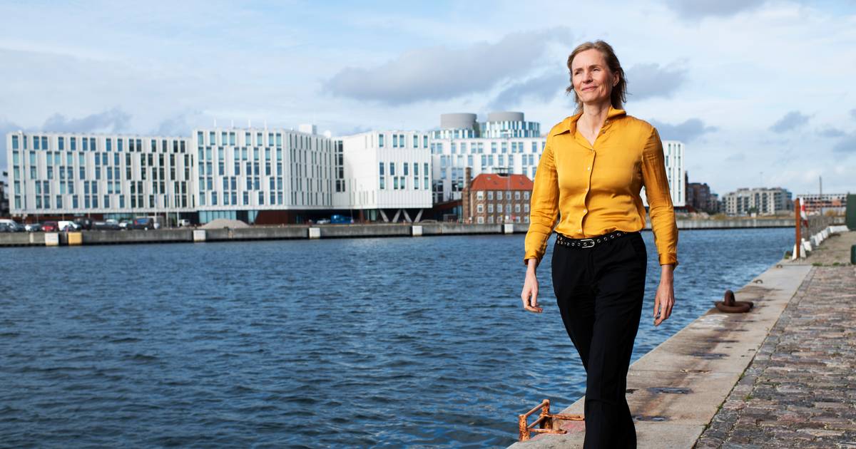 Signe Krogstrup er vendt hjem efter mere end 20 år: »Her kan jeg igen ...