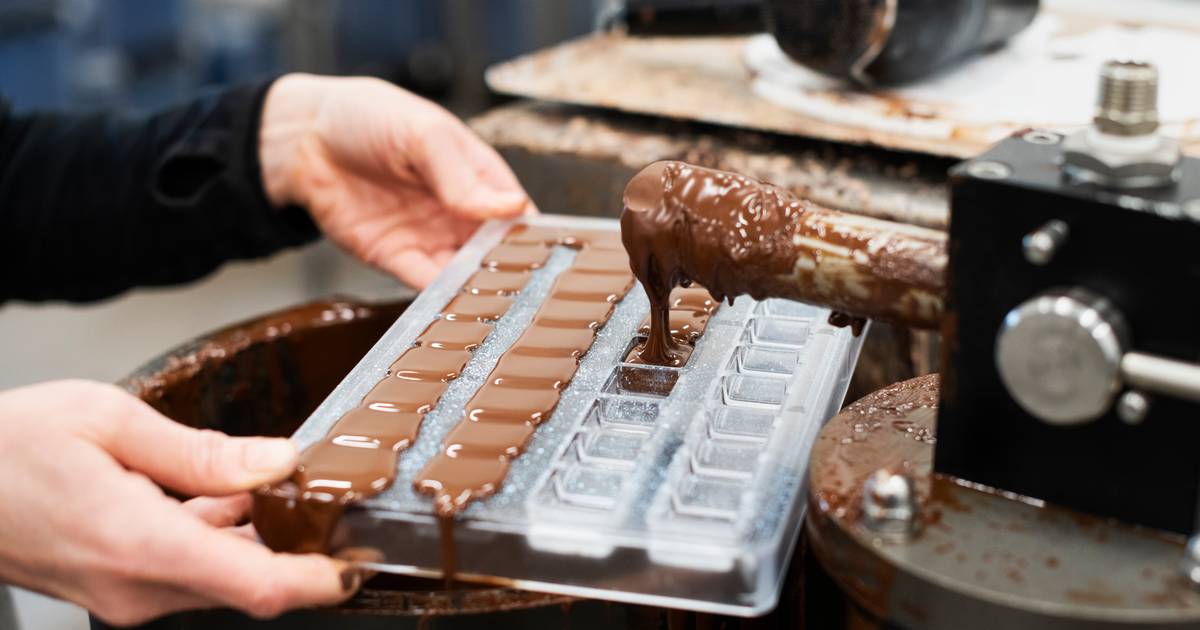 Hyldet som verdens bedste: Friis-Holm Chokolade går konkurs