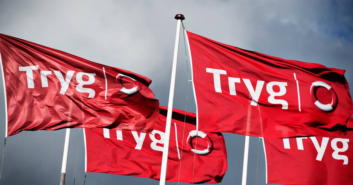 Tryg har sit store opkøb på plads: Er nu størst i Skandinavien - Finans