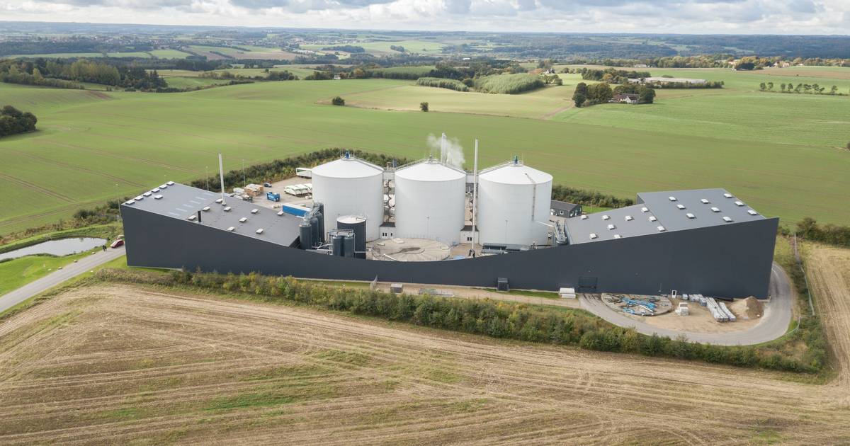 Plus 37 pct. på et år: Produktionen af biogas sætter rekord - Finans