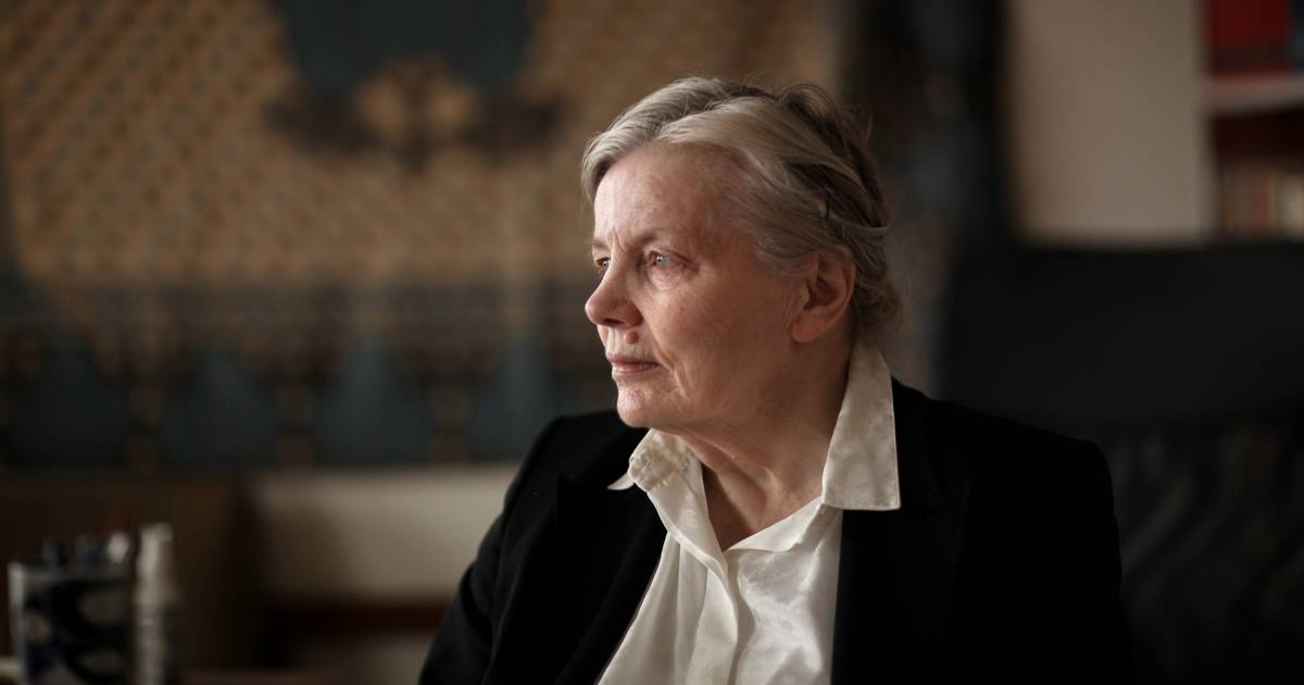 Hædret professor: »Hvis du ikke har en juridisk eksamen, vil jeg ikke ...