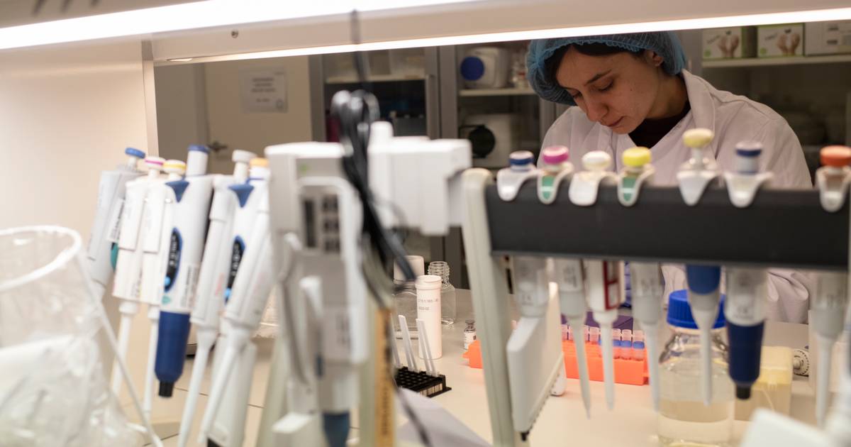 Bioporto fik bedre 2024 end ventet - Finans