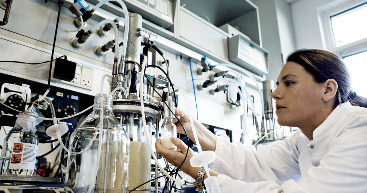 Chr. Hansen aktien er oppe med 27 pct. efter fusionsplaner med ...