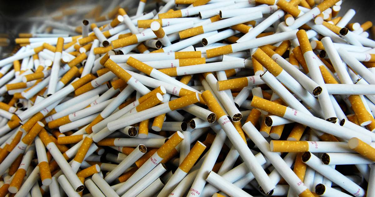 Cigarer og snus skubber på væksten i Scandinavian Tobacco Group