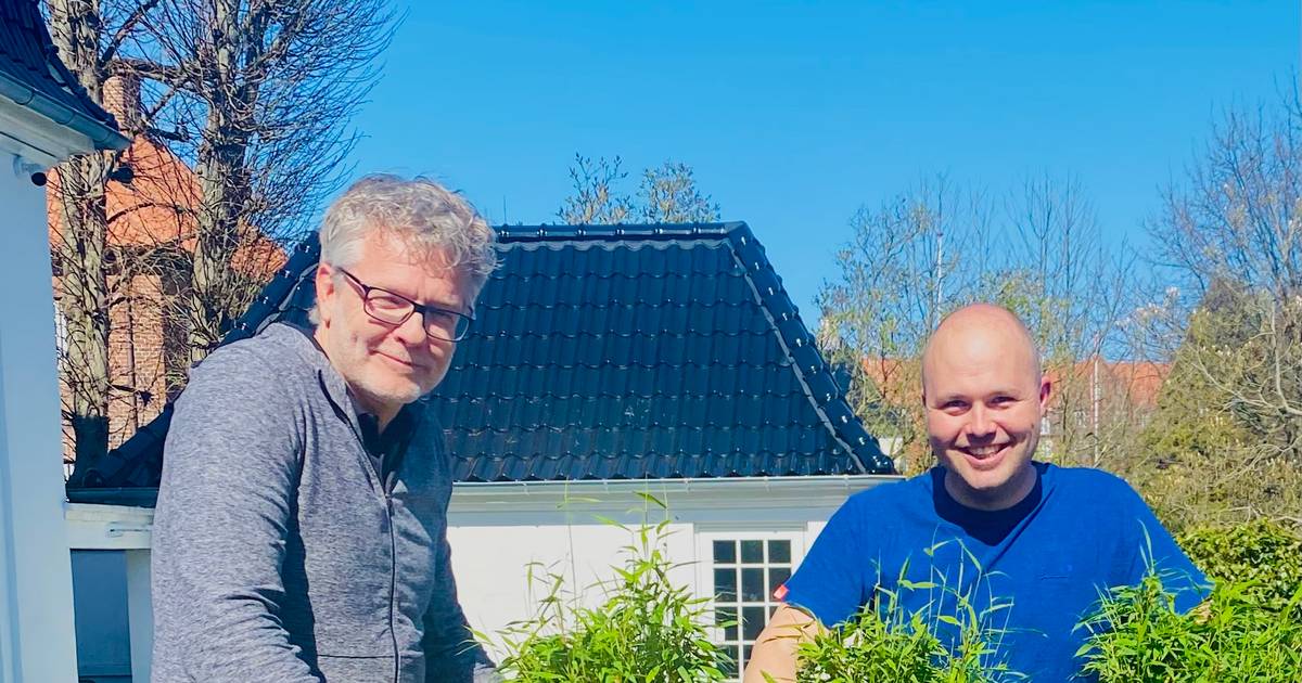 Har femdoblet væksten siden Løvens Hule: Nu køber han investor ud - Finans