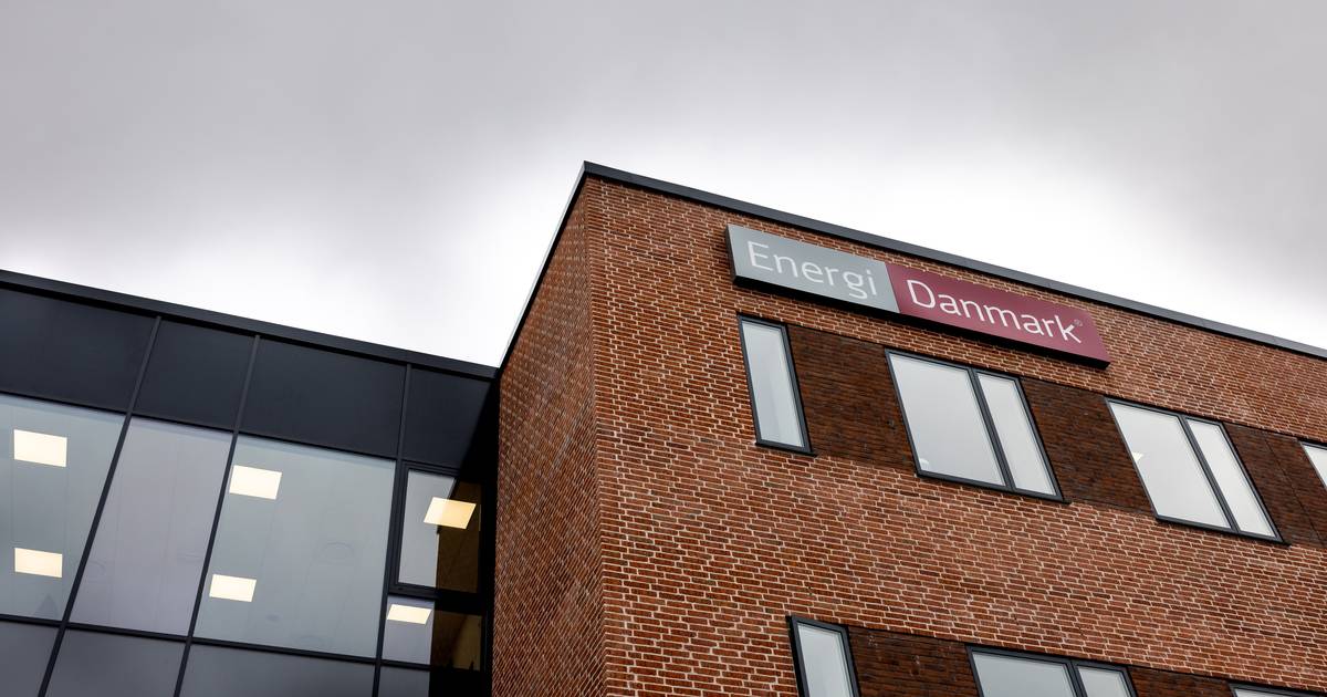 Energiselskab suspenderer medarbejdere med gyldne bonusordninger - Finans
