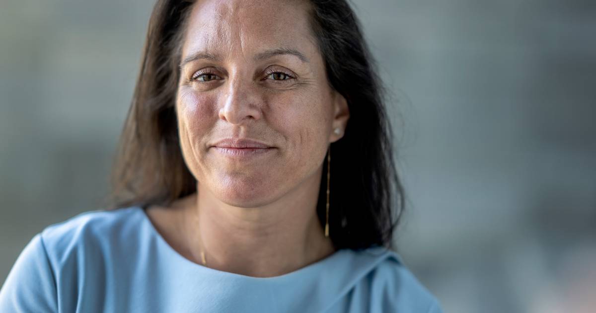 Storbanker er fortrøstningsfulde: Danske virksomheder er godt rustet ...