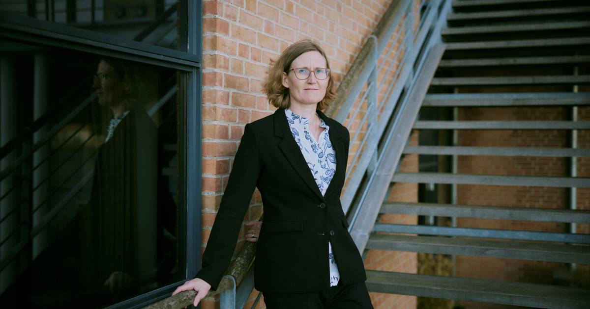 »Voldsomme tal«: Ledere undervurderer akademikeres kamp med stress - Finans