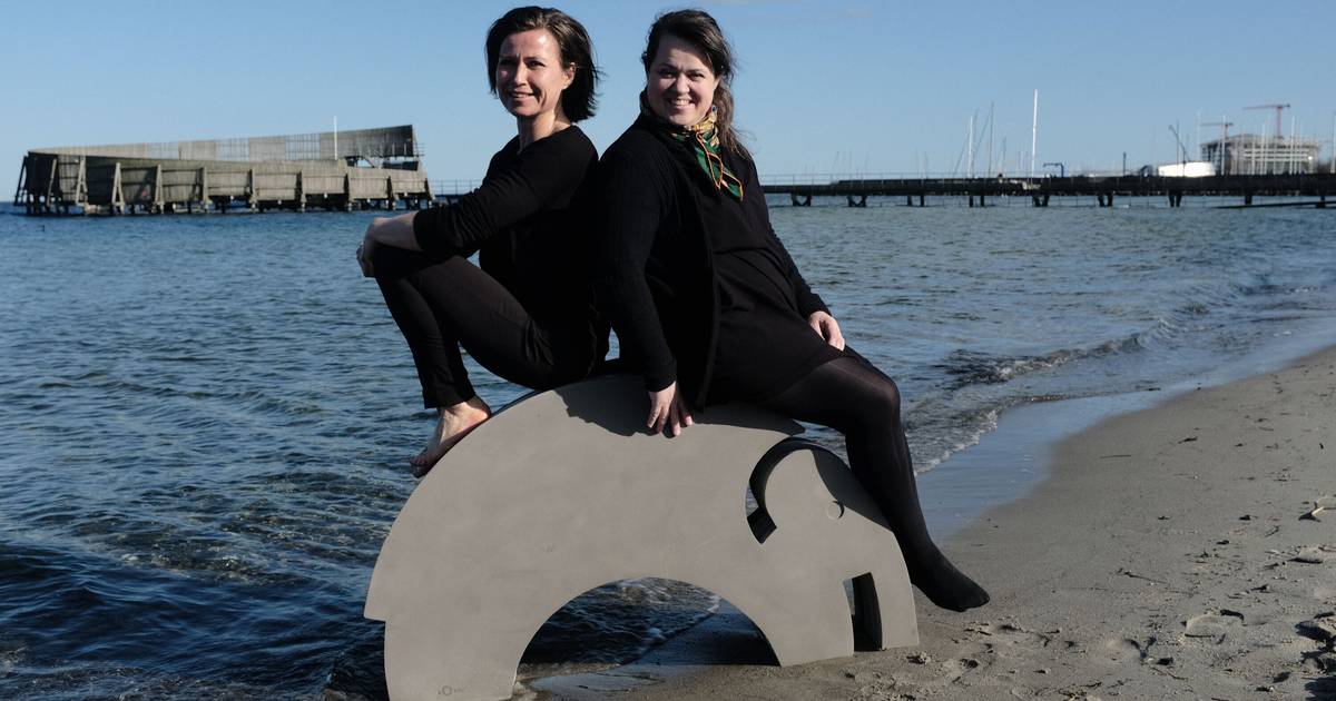 Første underskud: Bobles vil føre »Bolettes mission« videre - Finans