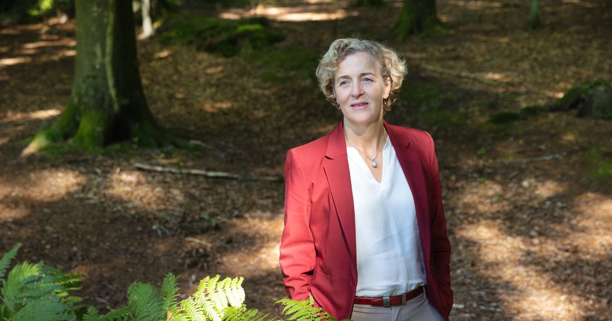 Ny it-direktør: »Det er lettere at arbejde sammen, når man ved, hvor ...