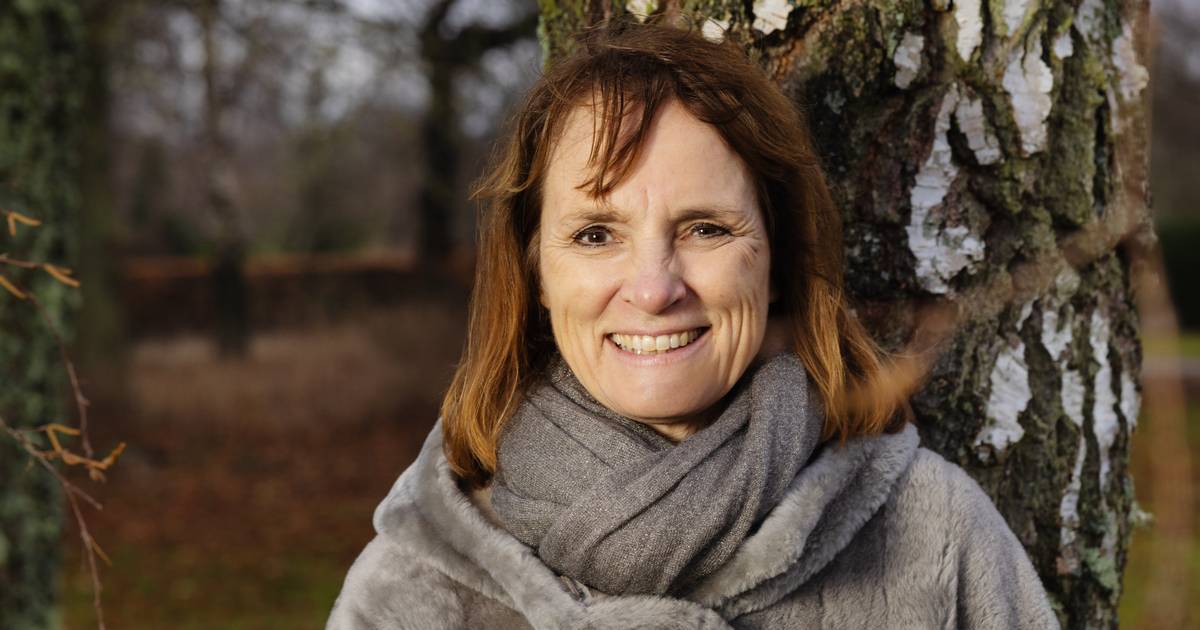 »Jeg vil kunne hjælpe Energi Danmark med at få genoprettet tilliden hos ...