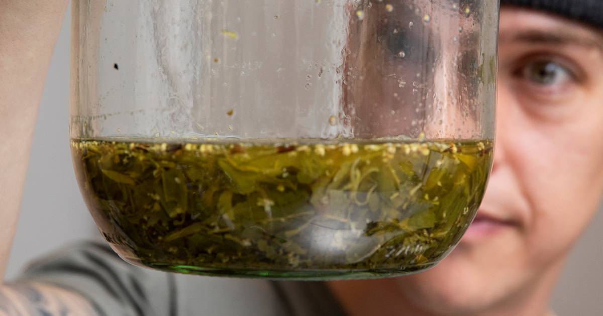 Læsk går konkurs - Finans