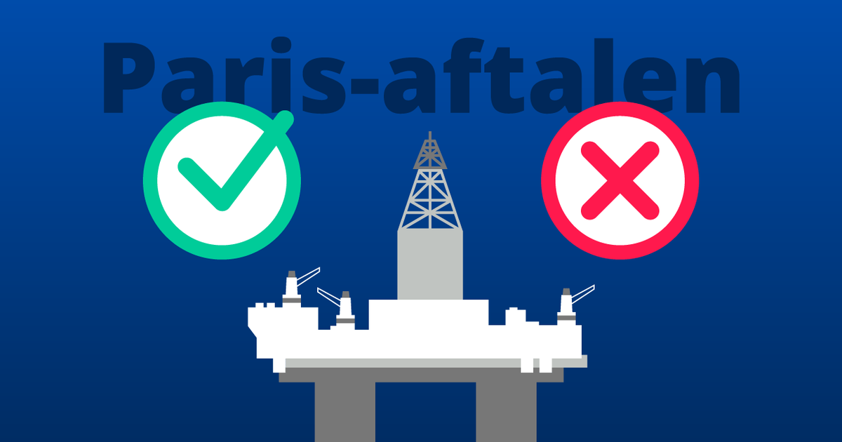 De siger ét, men gør noget andet: Ny rapport udstiller danske ...