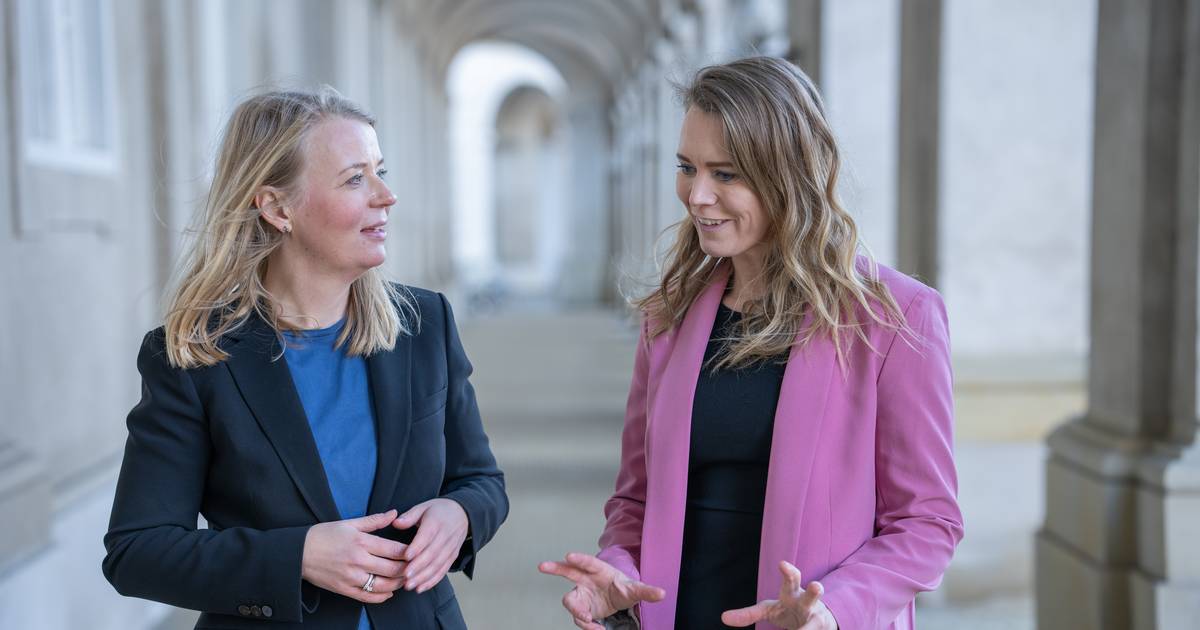 Dansk Industri og Dansk Erhverv i fælles opråb: Det går for langsomt ...