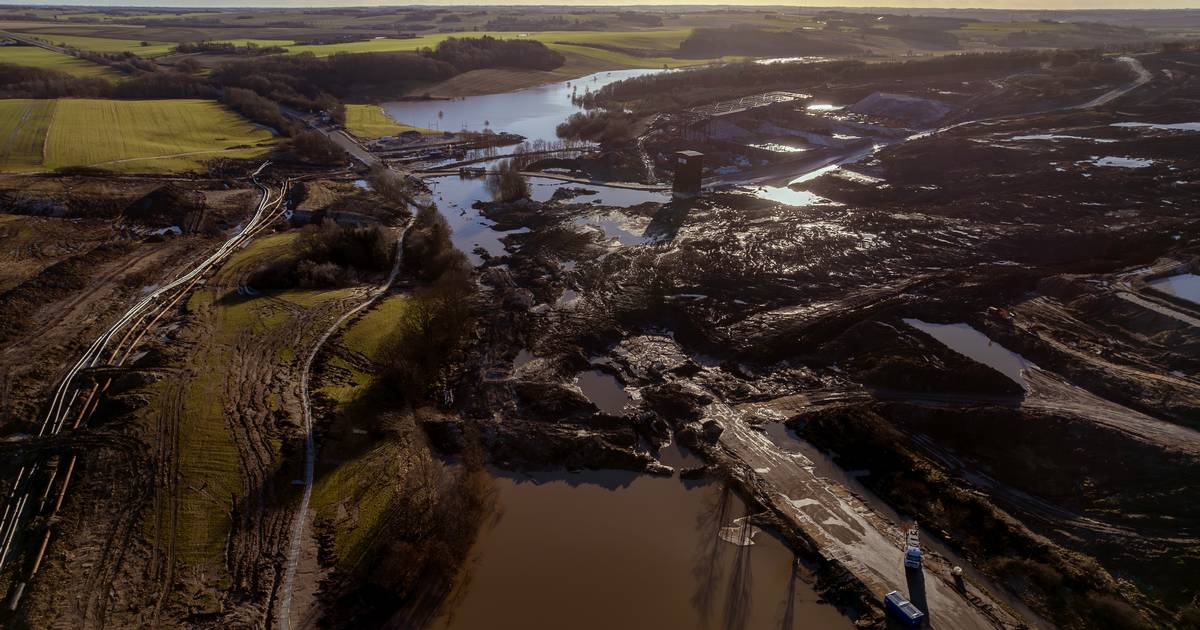 Har solgt kvæg og biler, men det er slet ikke nok: Foreløbige krav mod Nordic Waste for 179 mio ...