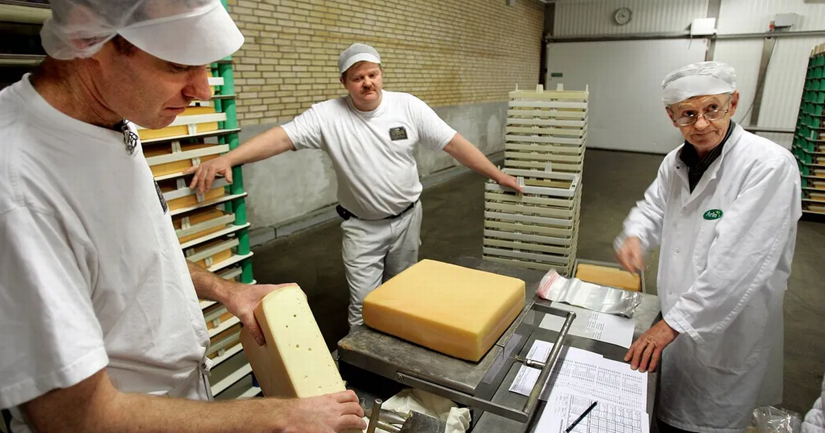 Arla lukker mejeri - Finans