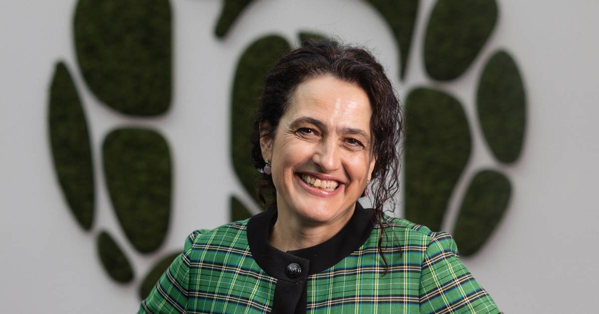 Novonesis hæver forventningerne for hele året - Finans