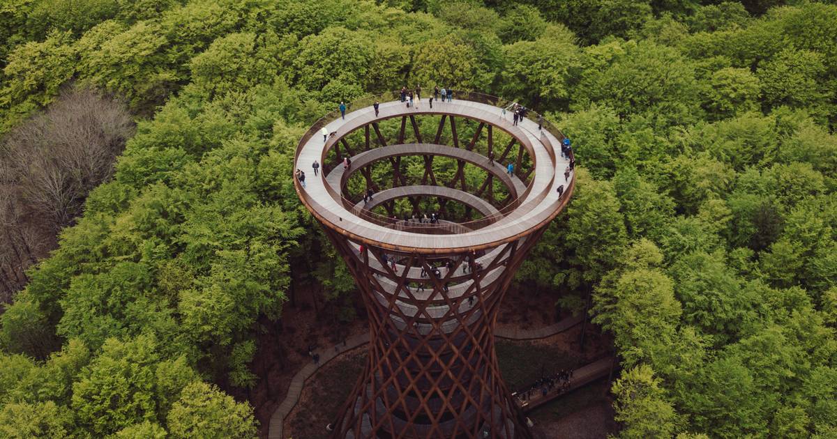 Jesper Mathiesen stoppede som frømand for at blive succesfuld ...