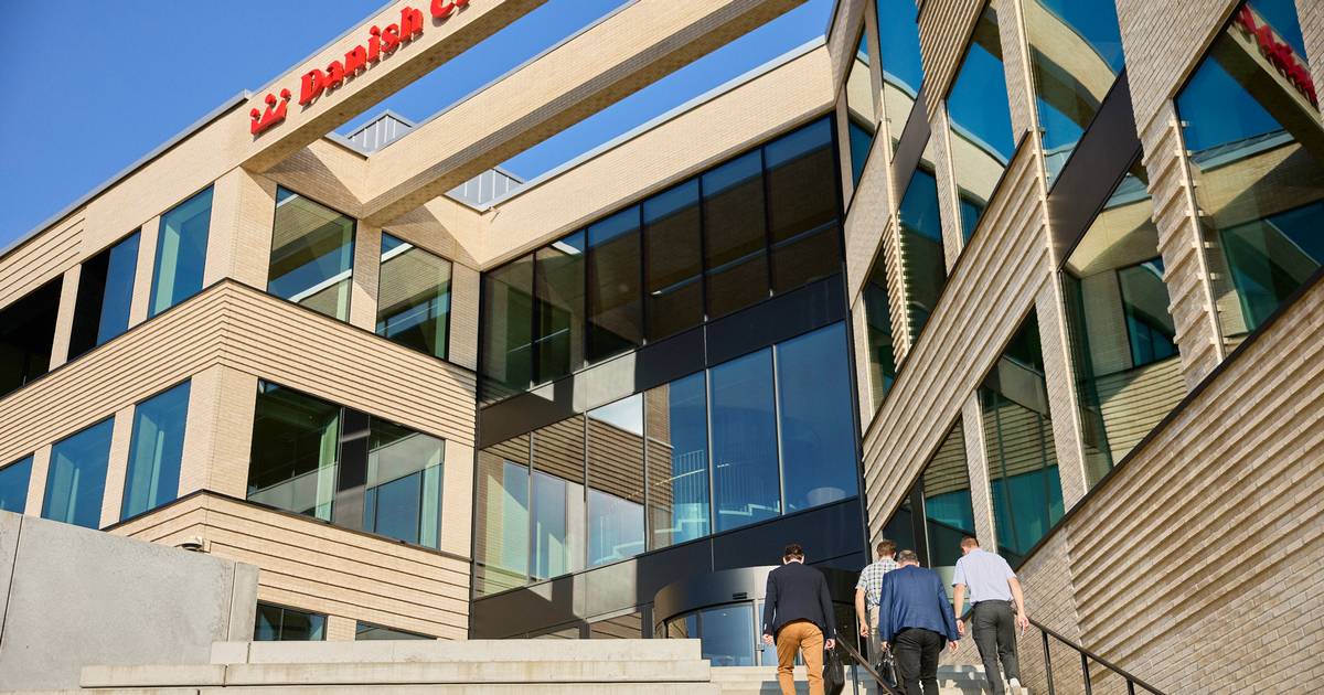 Ejere klar med historisk ledelsesindgreb i kriseramt slagterigigant ...