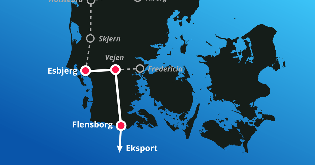 Regeringen gambler otte milliarder på usikkert brinteventyr: »Det her ...