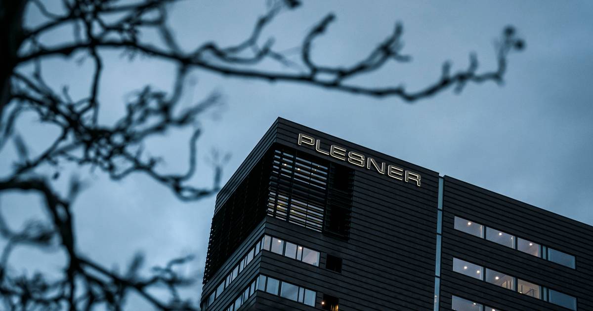 Professor om grænseoverskridende adfærd i Plesner: »Partneren ...