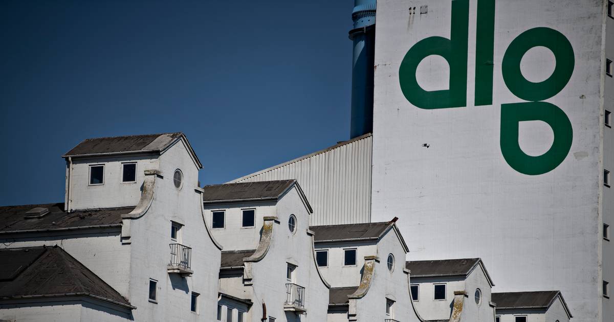 Landbrugsgigant i rødt: DLG's indtjening kollapser - Jyllands-Posten