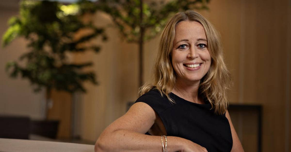 Topchefers tålmodighed med grønne investeringer er blevet mindre - Finans