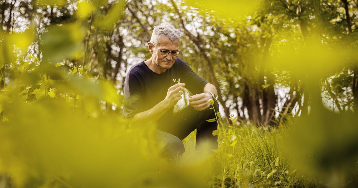 Mød milliardæren, der jagter dansk landbrugsjord: »Jeg kunne bare godt ...