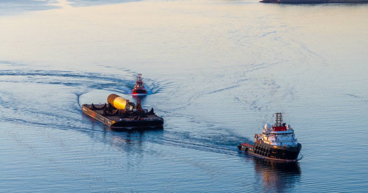 Ørsted og branchen ånder lettet op: Derfor slap Trump grebet om havvind ...