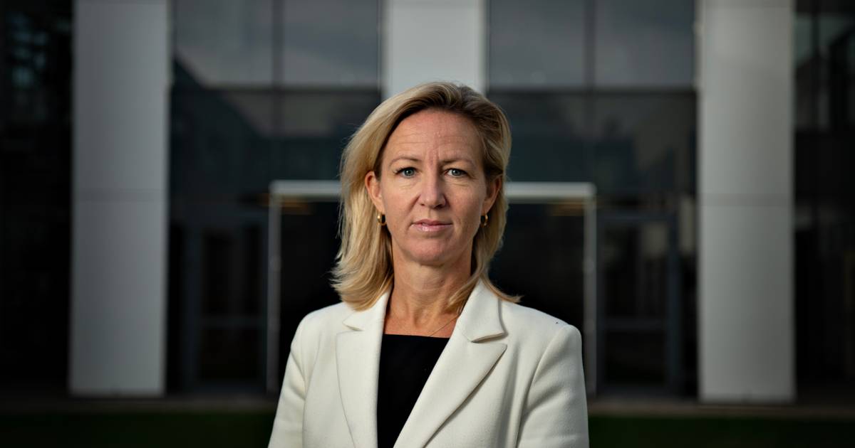 Ambu hæver bunden af forventningerne til salg - skuffer på indtjening ...