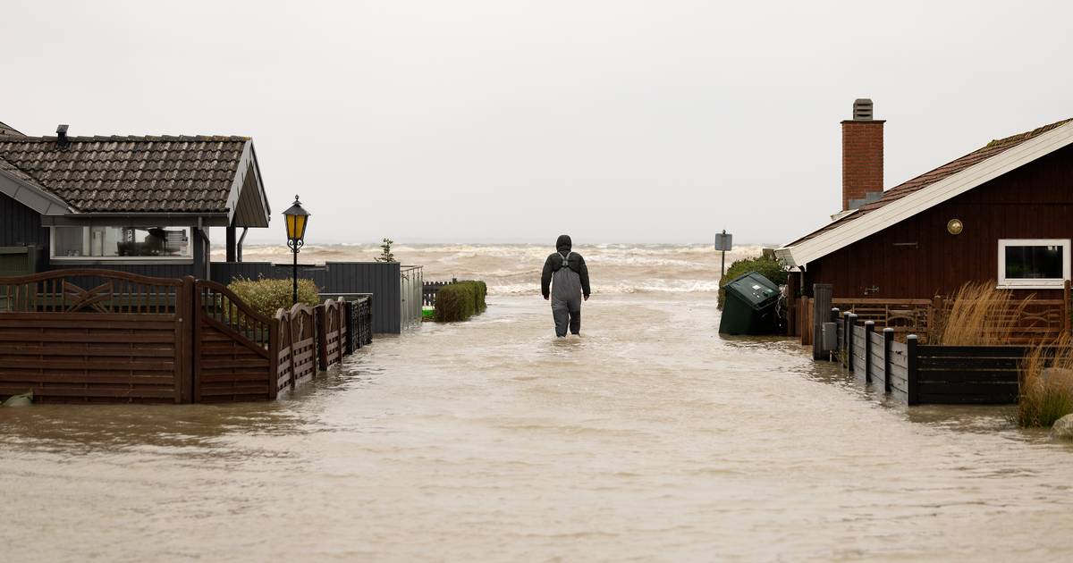 Danske boligejere lades i stikken under fremtidens oversvømmelser - Jyllands-Posten