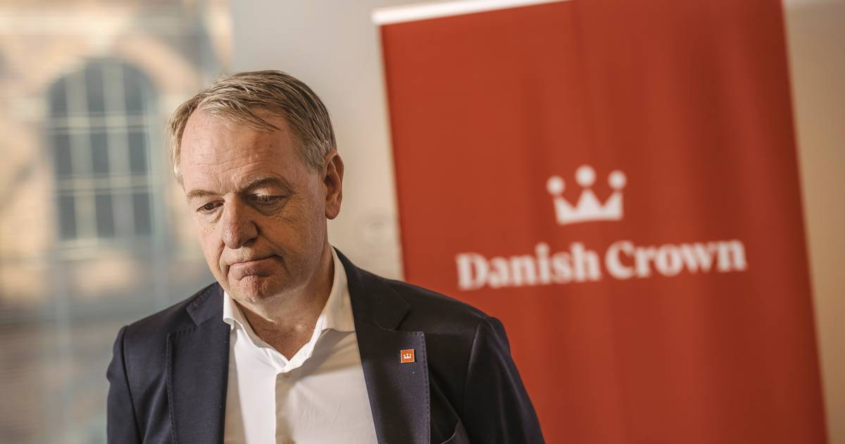Danish Crown-topchef før krisemøde: Tre betingelser er nødvendige for ...