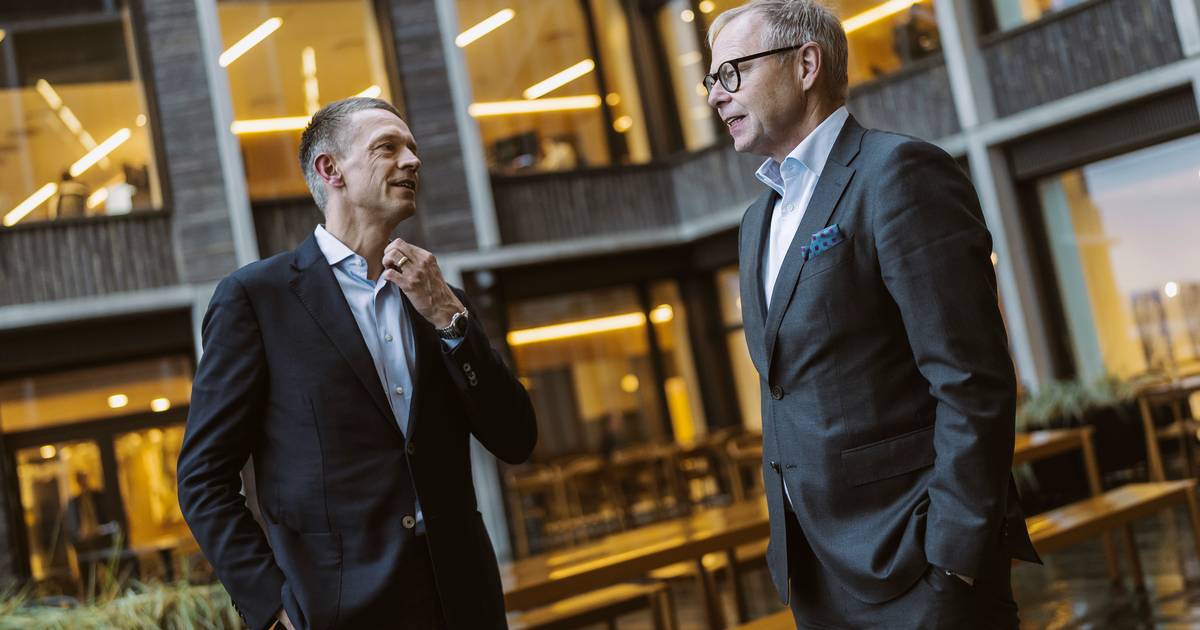 Her er professionelle bestyrelser en mangelvare: »I sidste ende ...