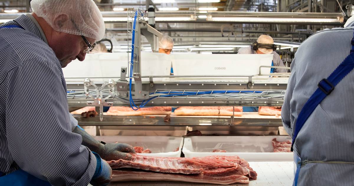 Danish Crown-chef stopper efter 10 måneder i topledelsen - Jyllands-Posten