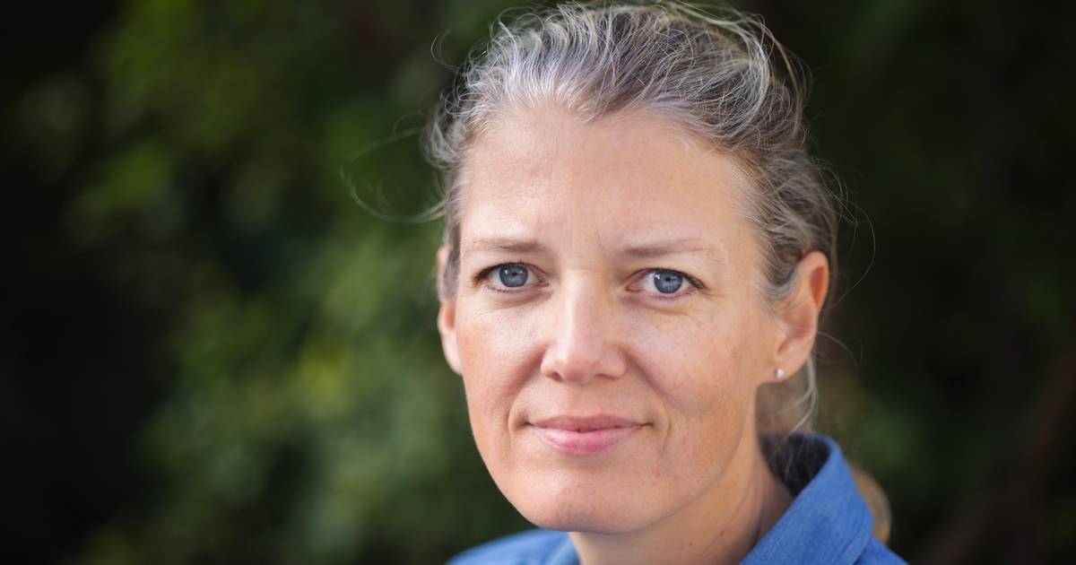 Ekspansion koster på bundlinjen hos Too Good To Go - Jyllands-Posten