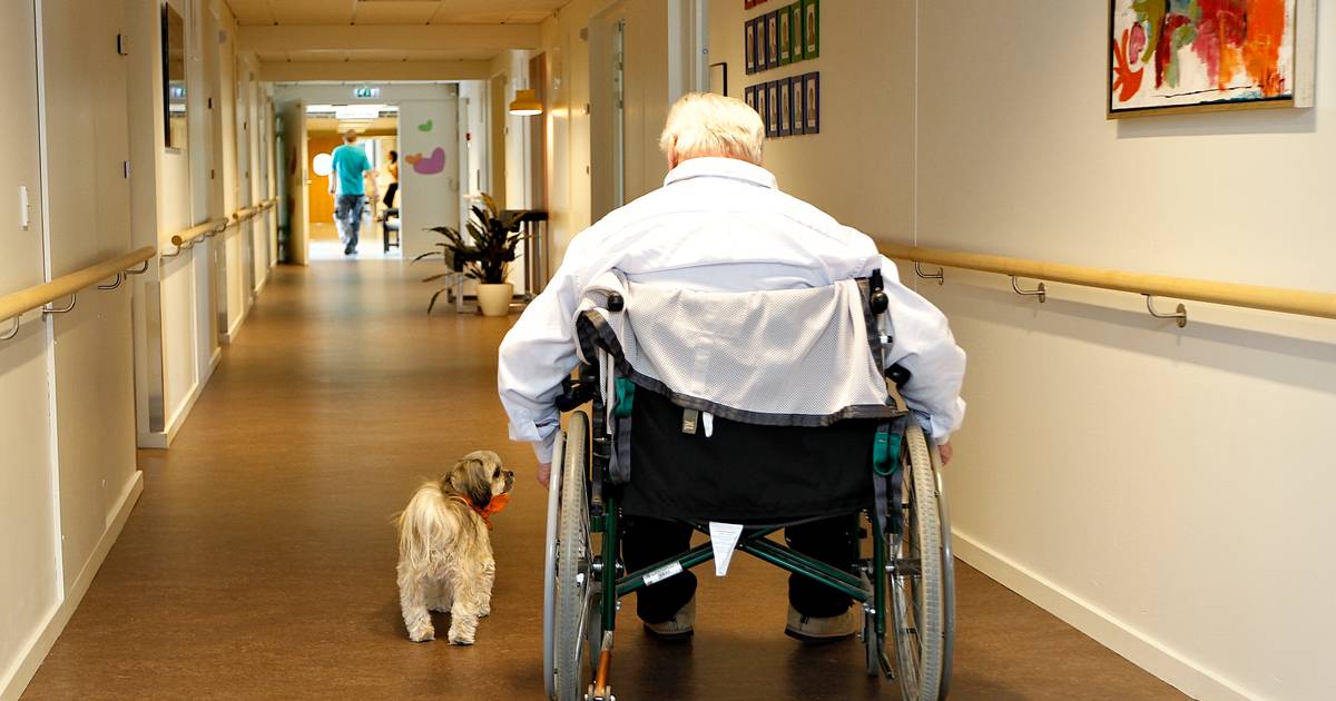 Nyt tilbud til syge ældre risikerer at mangle sengepladser - Jyllands ...
