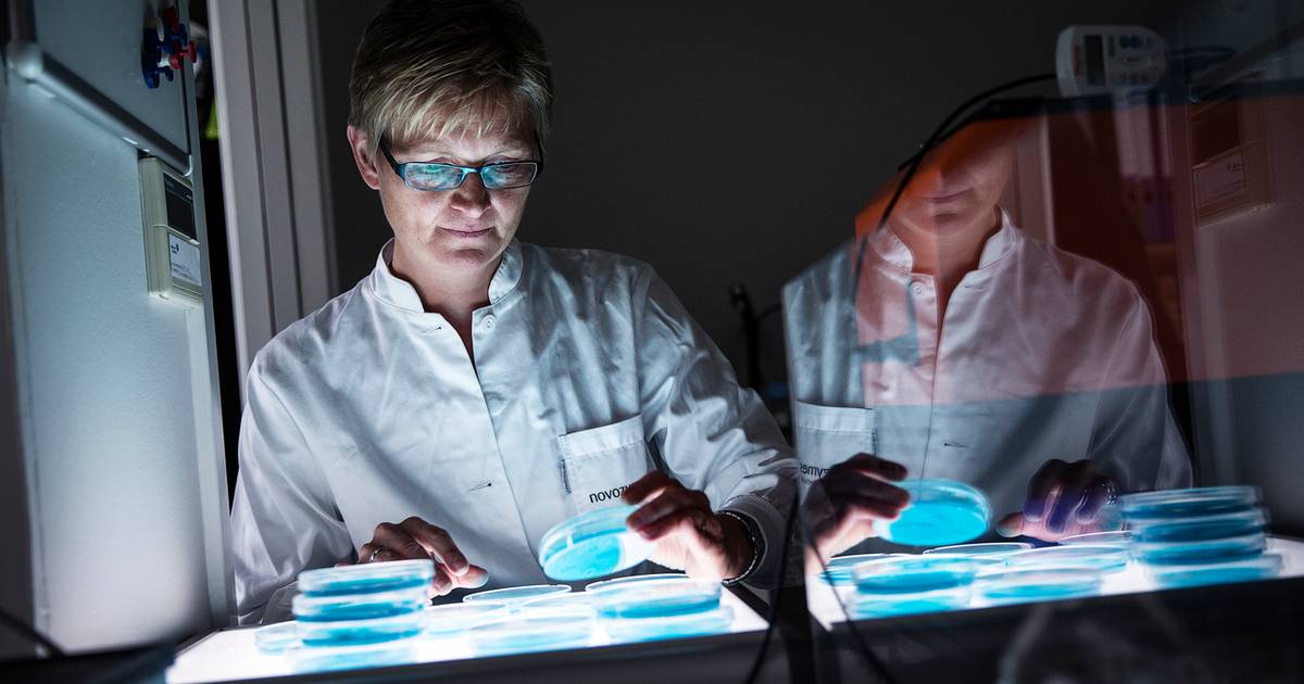 Anne Breüner opdagede et guldæg i Novozymes - Finans