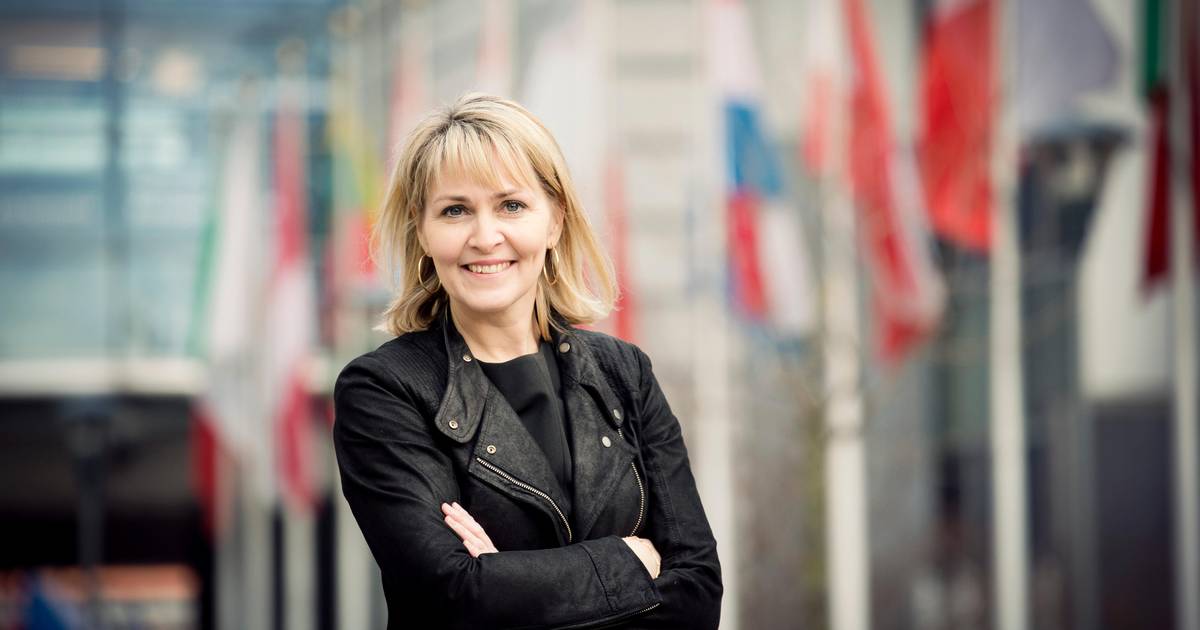 EU vil sikre gennemsigtighed på prisportaler