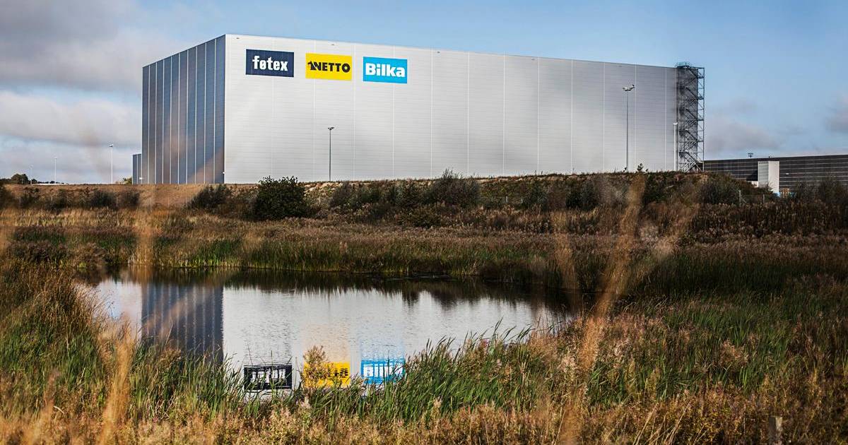Dansk Supermarked tjener fortsat millioner - Finans