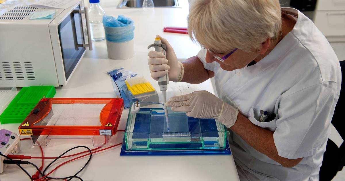 Læger vil forbyde gentest til forsikring