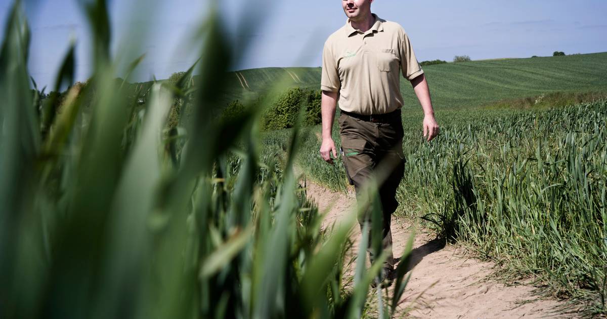 Dansk landmand, dansk landbrug, tysk ejer - Finans
