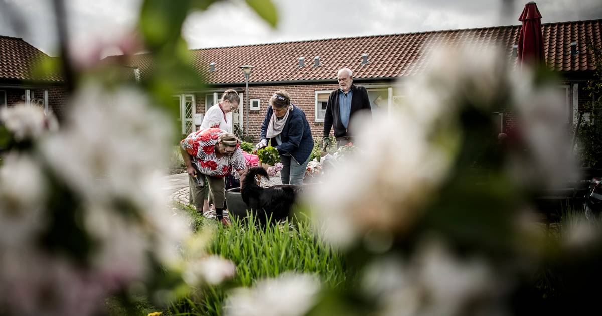 Smykkedronning køber ejendomme til samfundets udsatte - Finans