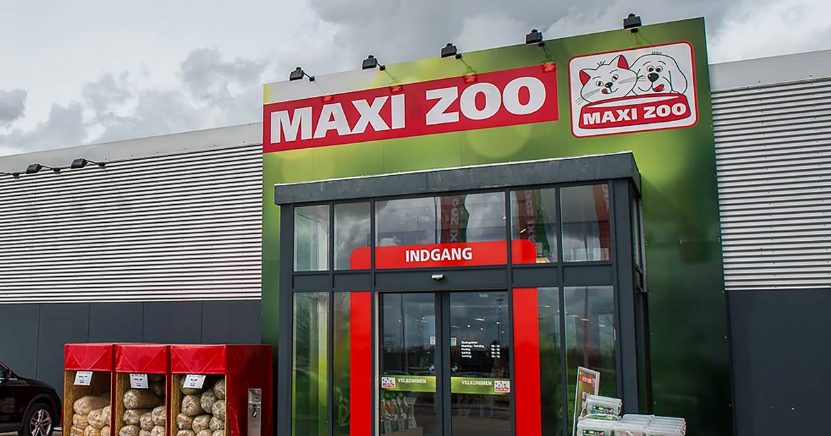 Maxi Zoo har aldrig tjent flere penge - næste år kan blive endnu bedre ...